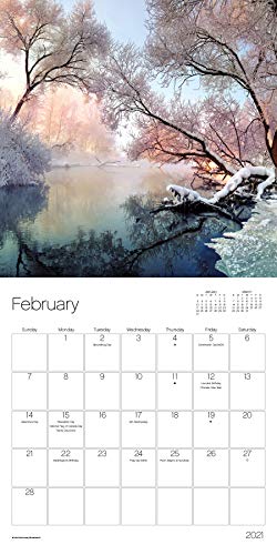 2021 Seasons Mini - 7" x 7" Calendar