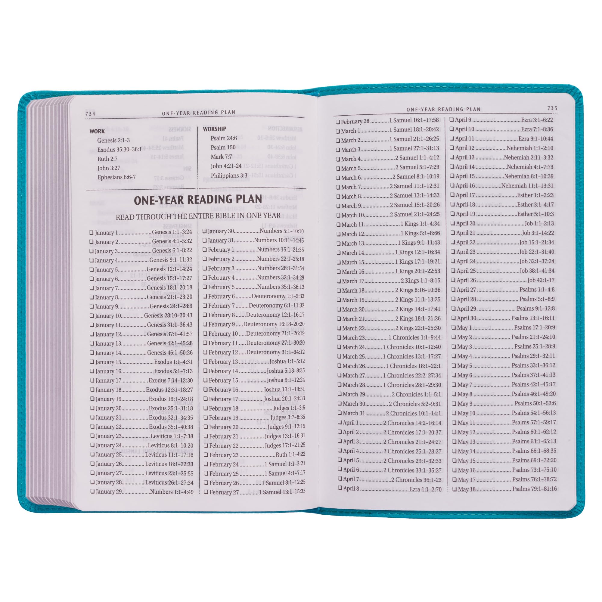 KJV Holy Bible, Gift Edition Faux Leather, King James Version, Teal (KJV Gift Editions)