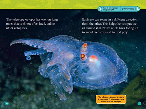 Alien Ocean Animals (National Geographic Kids Readers, Level 3)
