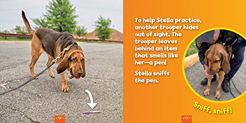 Doggy Defenders: Stella the Search Dog
