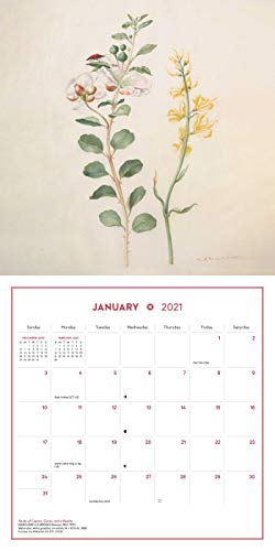 Botanicals 2021 Wall Calendar