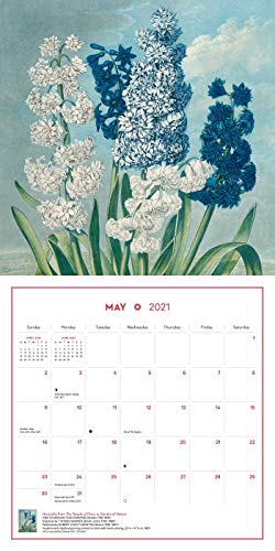 Botanicals 2021 Wall Calendar