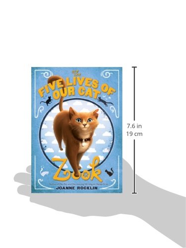 The Five Lives of Our Cat Zook