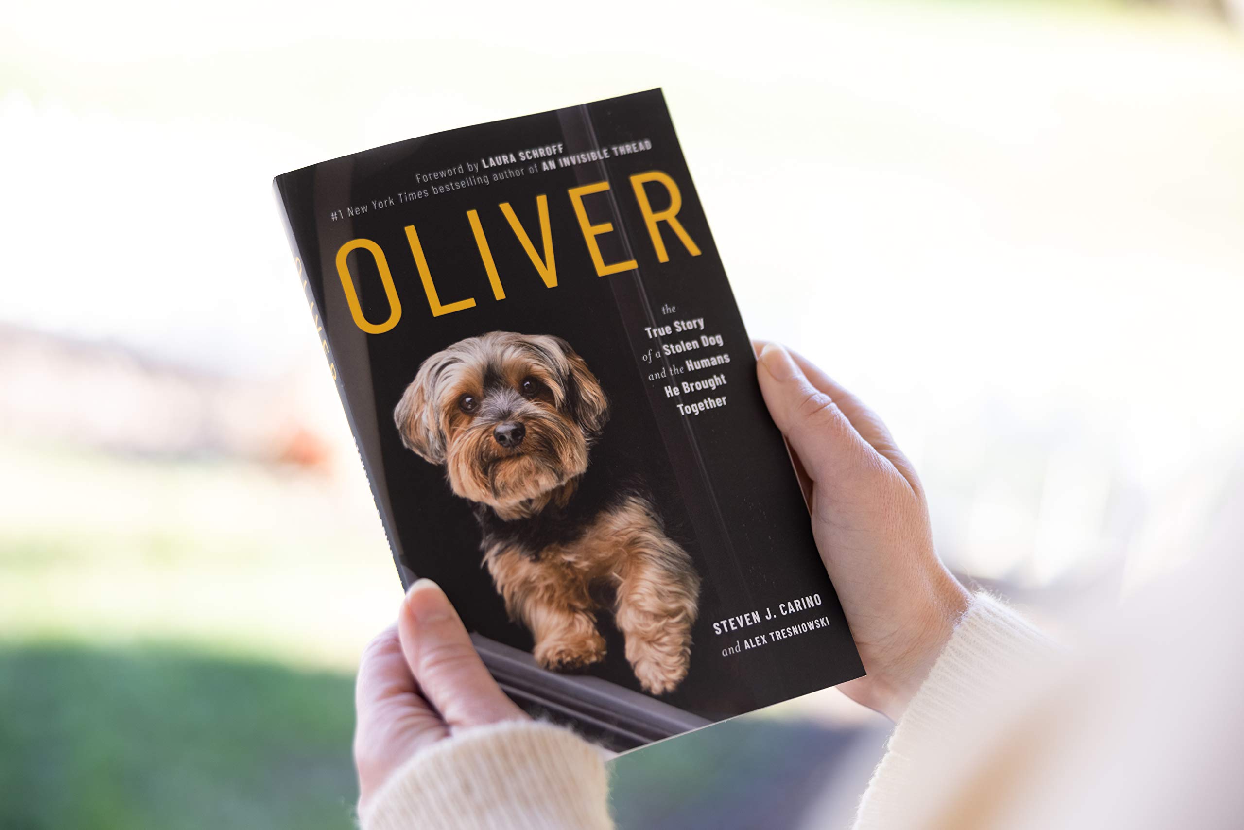 Oliver: The True Story of a Stolen Dog and the Humans He Brought Together