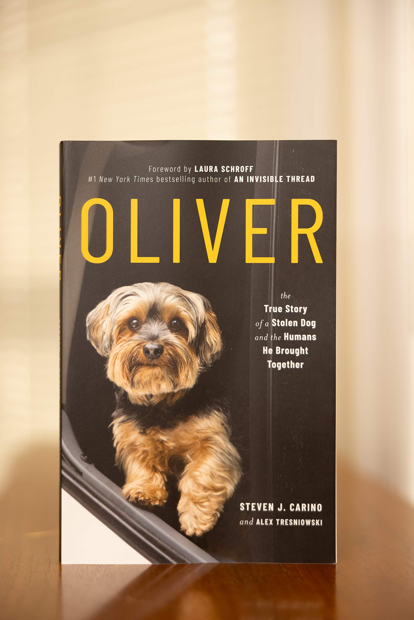 Oliver: The True Story of a Stolen Dog and the Humans He Brought Together