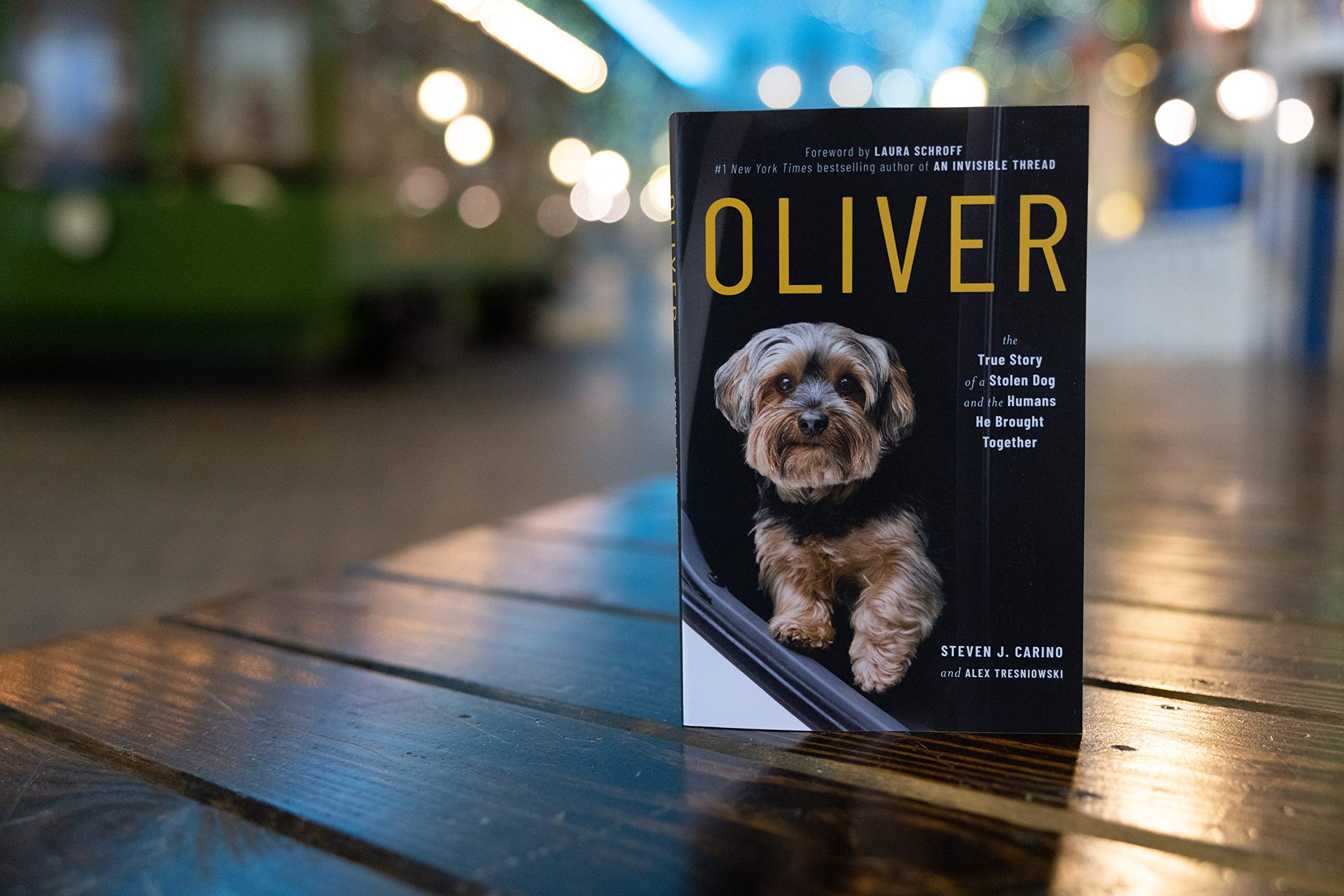 Oliver: The True Story of a Stolen Dog and the Humans He Brought Together