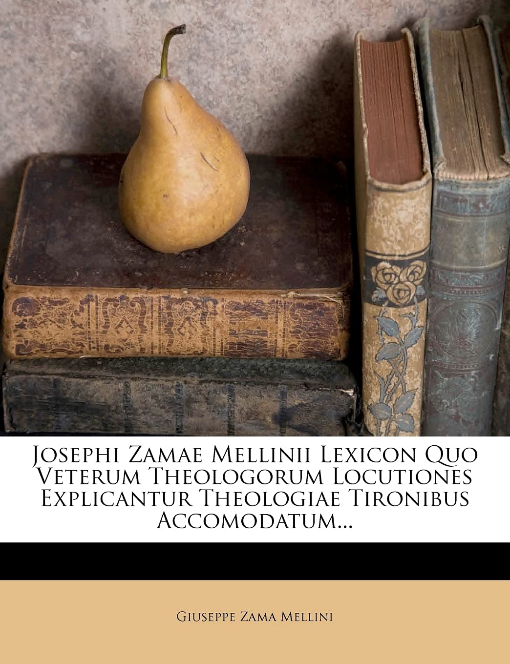 Josephi Zamae Mellinii Lexicon Quo Veterum Theologorum Locutiones Explicantur Theologiae Tironibus Accomodatum... (Latin Edition)