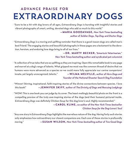 Extraordinary Dogs: Stories from Search and Rescue Dogs, Comfort Dogs, and Other Canine Heroes