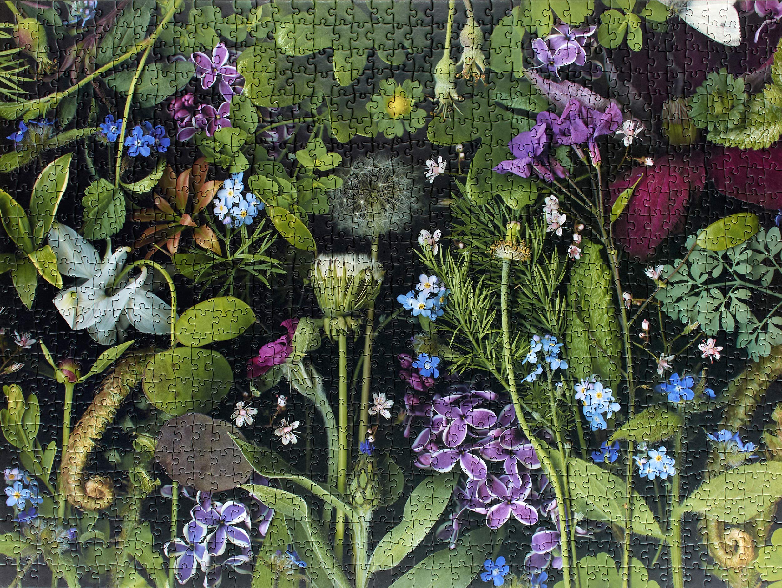 Pomegranate 1000-Piece Jigsaw Puzzle for Adults, Deb Stoner's Siris' Lilac, Matte Finish, Snug Fit