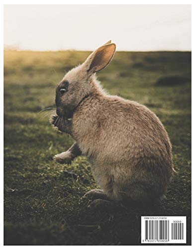 Bunny Sketchbook: Cute Sketchbook for Adults/Children Animals Lovers to Sketching, Large (8.5x11x Inch. 21.59x27.94 cm.) 120 Blank Pages (WHITE&BLACK&GREEN&YELLOW Pattern)