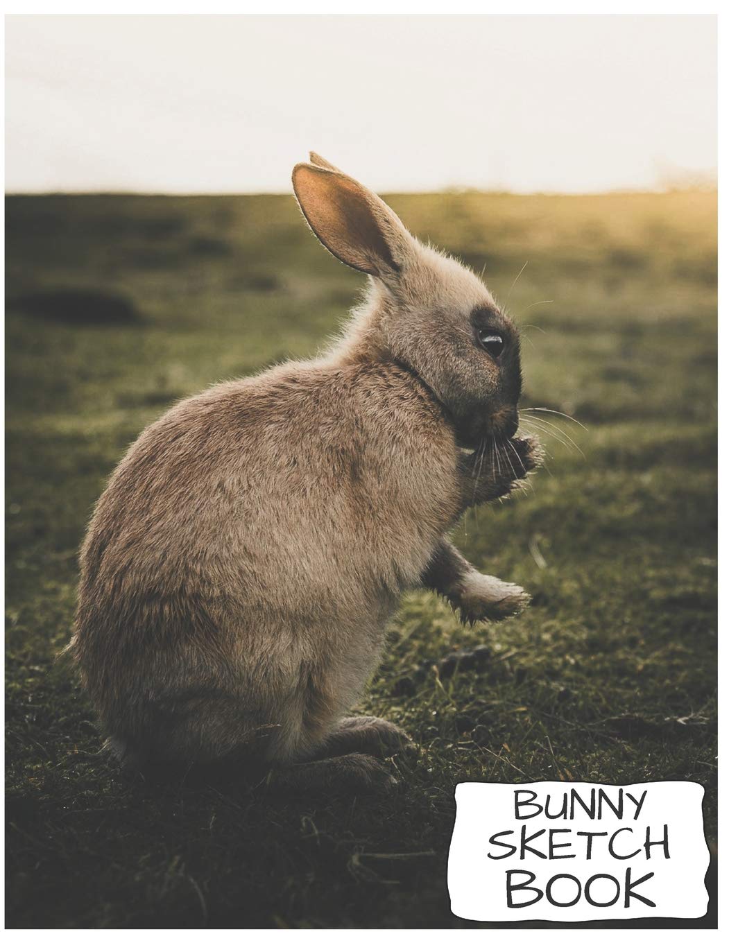 Bunny Sketchbook: Cute Sketchbook for Adults/Children Animals Lovers to Sketching, Large (8.5x11x Inch. 21.59x27.94 cm.) 120 Blank Pages (WHITE&BLACK&GREEN&YELLOW Pattern)