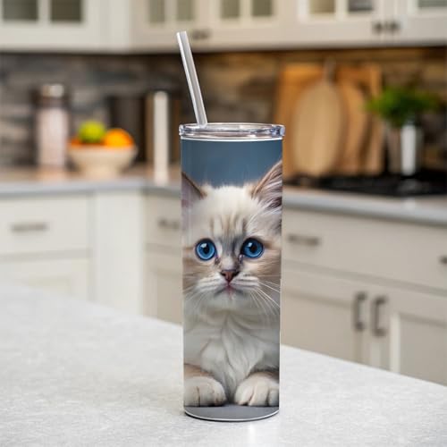 Ragdoll Cat Kitten Photo Skinny Tumbler 20oz with Straw Insulated Water Bottle Gift