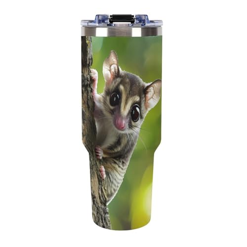 Australia Cute Sugar Glider Insulated Tumbler with Lid And Straw Stainless Steel Travel Coffee Mug 40oz Violet-style