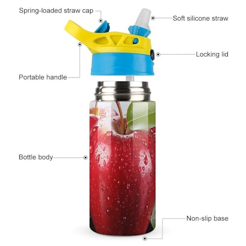 Stainless Steel Water Bottles Red Apple Fruit Travel Water Cups with Handle And Silicone Straw Drinking Cup with Leak Proof Lid Thermo Travel Mug for Women Men