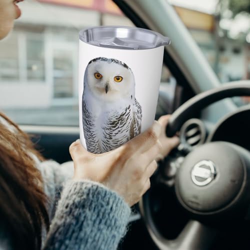 jshmgchw 3d Owl 20oz Tumbler, Car Cup With Lid And Straw, Spill-Proof, Stainless Steel Double Wall Vacuum Insulated Reusable Coffee Travel Mug, For Cold Drinks, Hot Beverage