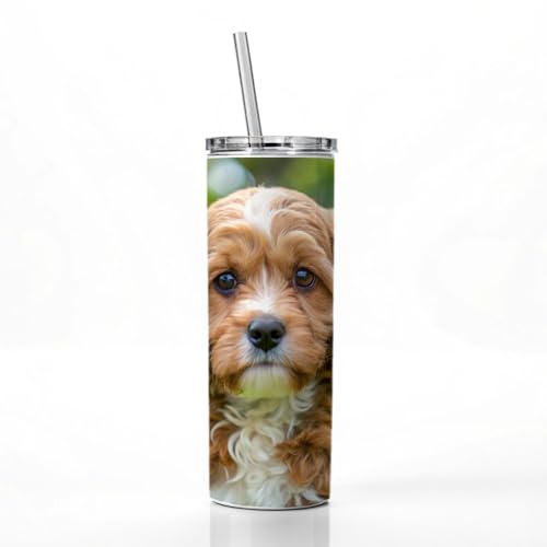 Cavapoo Dog Puppy Photo Skinny Tumbler 20oz with Straw Insulated Water Bottle Gift