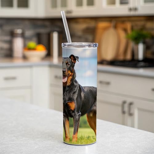 Beauceron Dog Photo Skinny Tumbler 20oz with Straw Insulated Water Bottle Gift