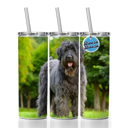 Bouviers Des Flandres Dog Photo Skinny Tumbler 20oz with Straw Insulated Water Bottle Gift