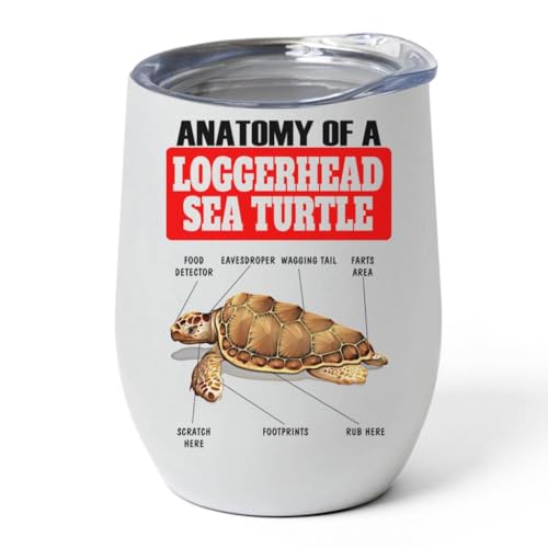 Loggerhead Sea Turtle Tumbler 12oz - Funny Anatomy Chart Design - Stainless Steel Vacuum Insulated Wine Cup With Lid - Gifts for Turtle Lovers