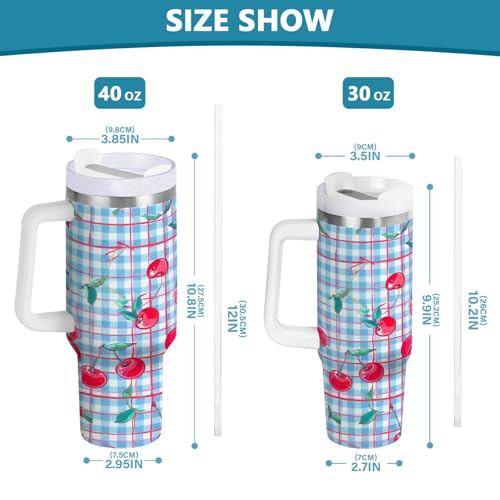 RPLIFE Kawaii Cherry Grid Pastel Stainless Water Bottle, Insulated Coffee Cups with Lids, Tumblers for Women