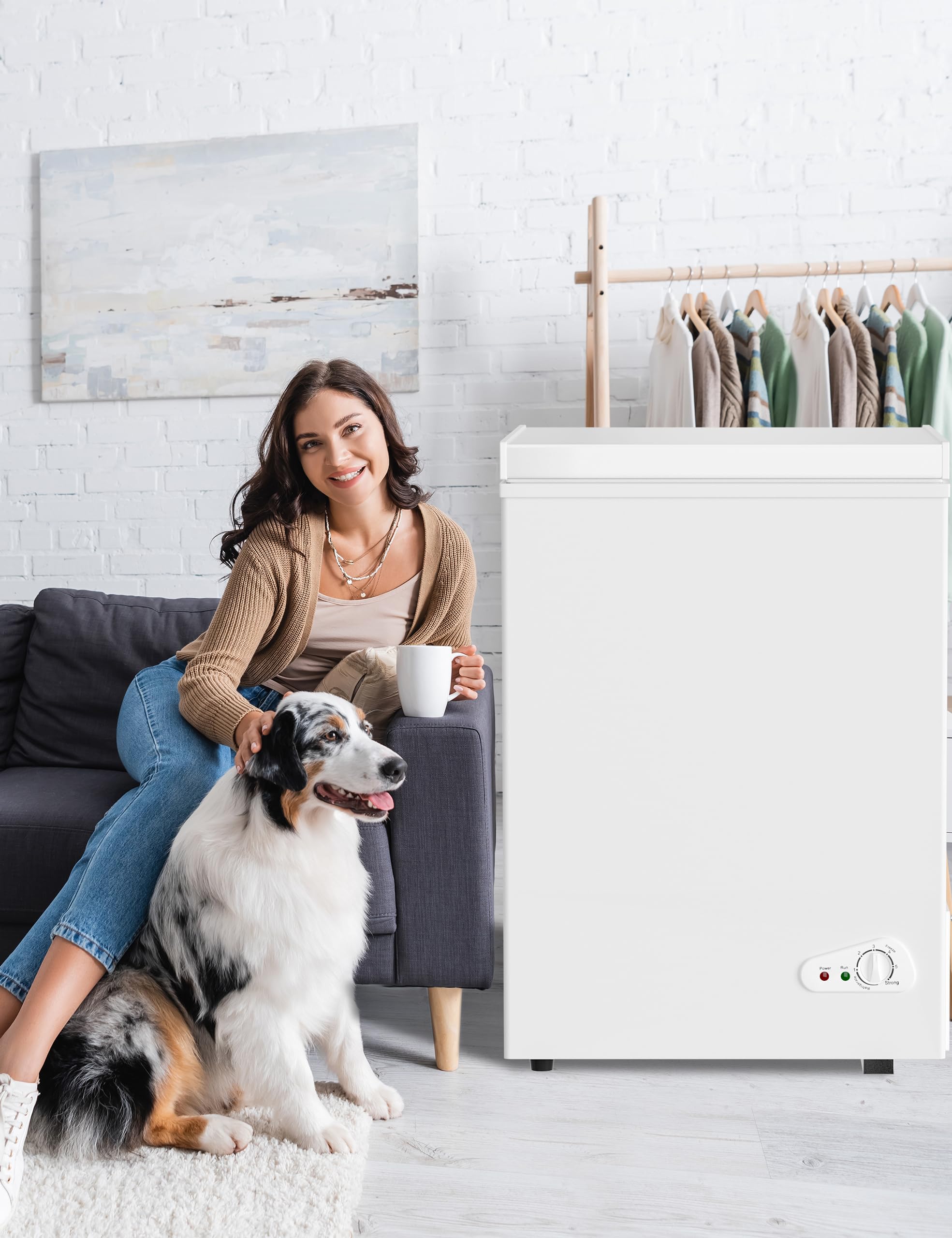 Bodacious Ultra Quiet Deep Freezer - 5.0 Cu Ft Compact Chest Freezer with Fast Freeze Performance, Low Power Consumption, Ideal for Home, Restaurant, and Small Shops